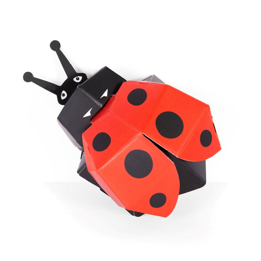 Create Your Own Lovely Ladybird – Insideout